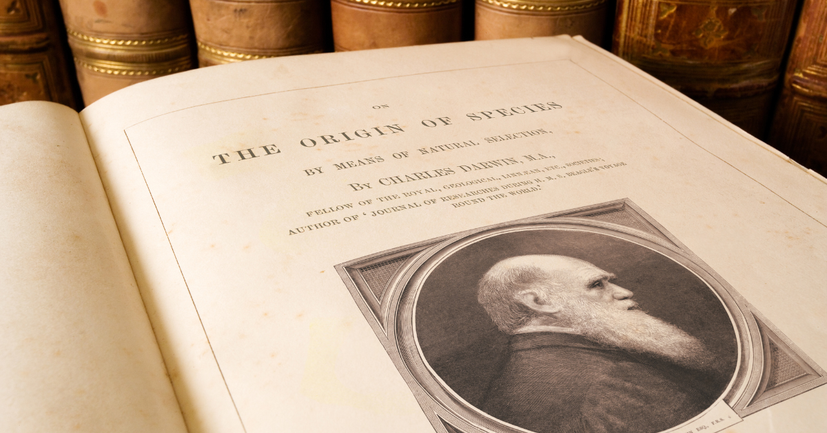 Who Created the English Alphabet? | Translation Excellence